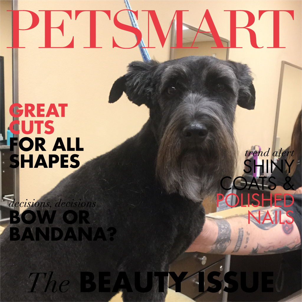 Remembering Pepper | Pat Bean's blog